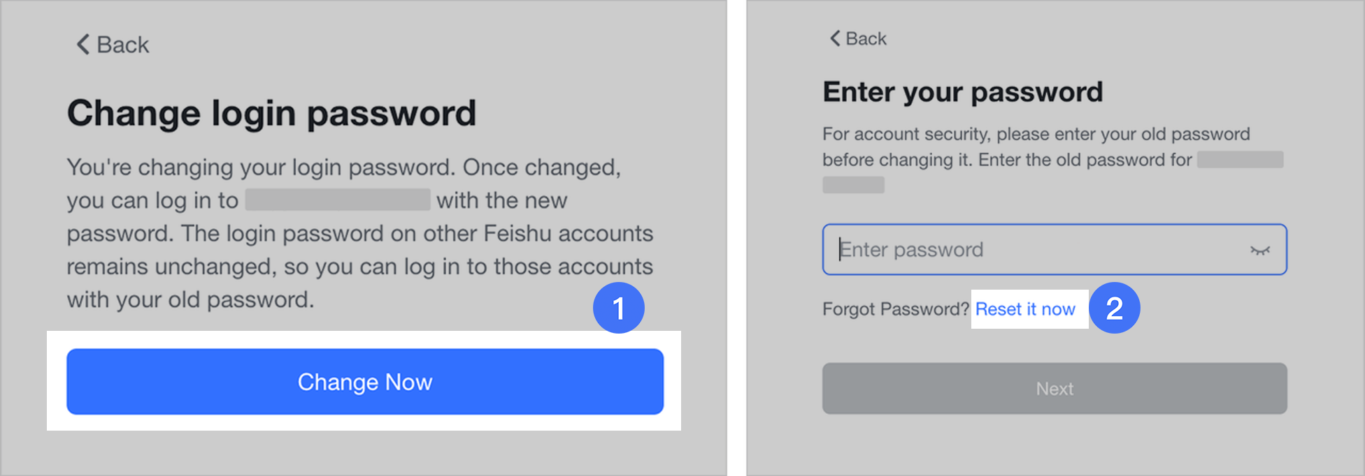 Password Management for Feishu Business Mail Users - For Members