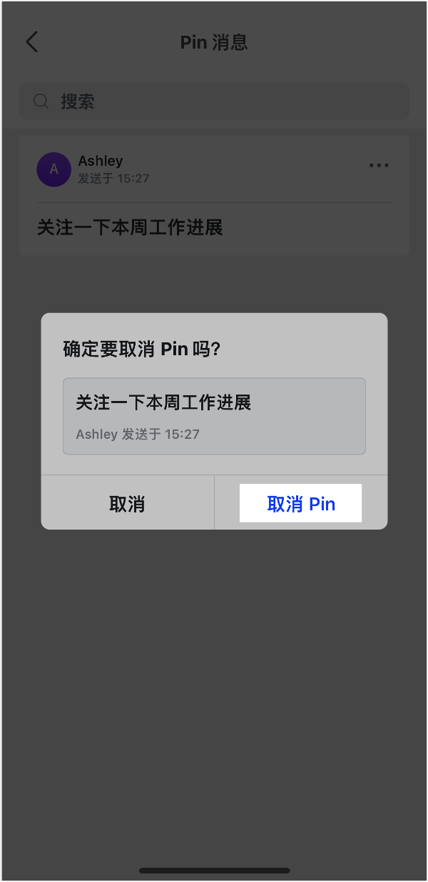 使用 Pin 功能