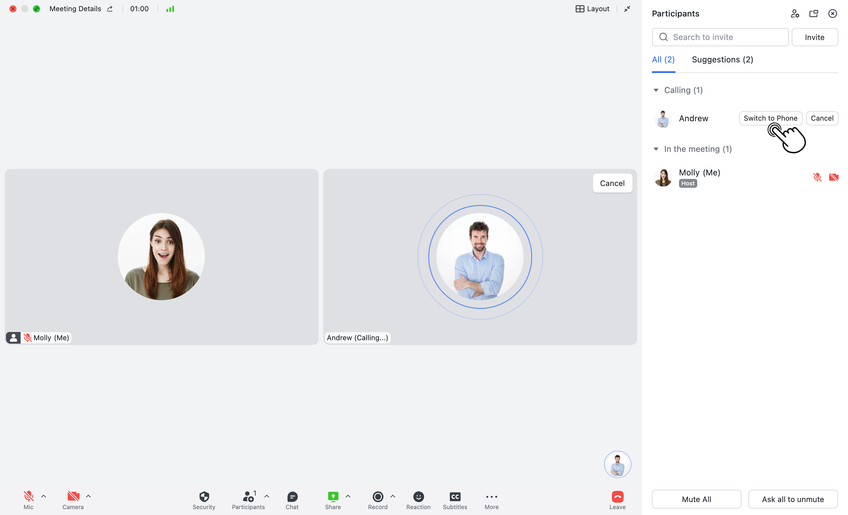Use the phone function in video meetings