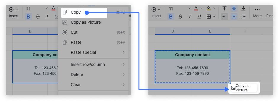Copy A Sheet As A Picture