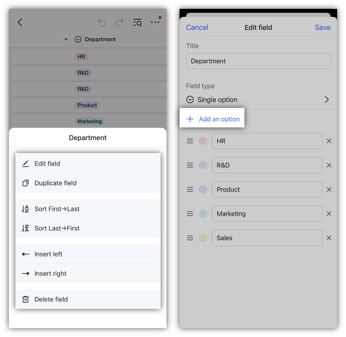 Apply color tags when using single option and multiple options fields ...