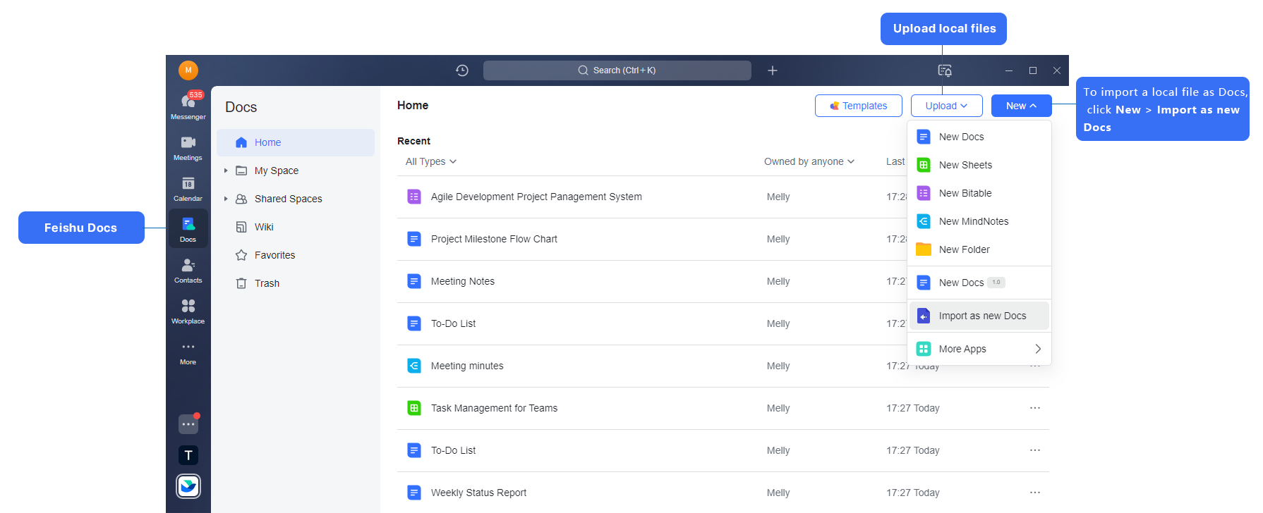 Feishu Business and Enterprise plans – Overview of Features